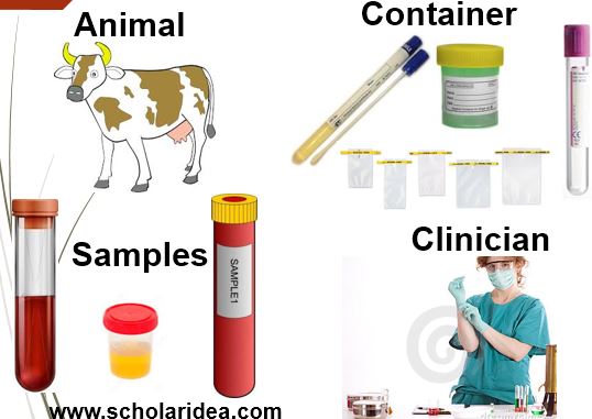 samples | Scholar Idea