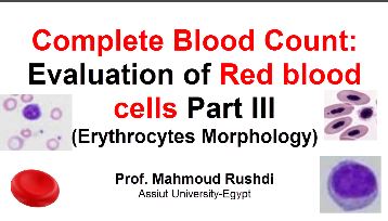 erythrocyte morphology – Scholar Idea
