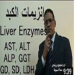 إنزيمات الكبد ...... Liver and Muscle enzymes - Explained - Scholar Idea